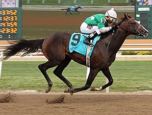 Mister Pollard - Horse Profile - BloodHorse