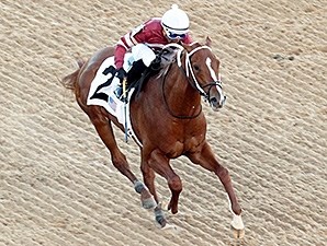 Tapiture - Horse Profile - BloodHorse