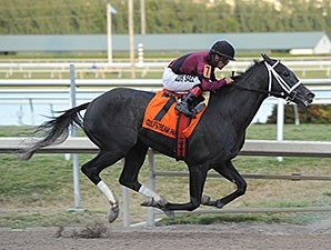 Cairo Prince - Horse Profile - BloodHorse