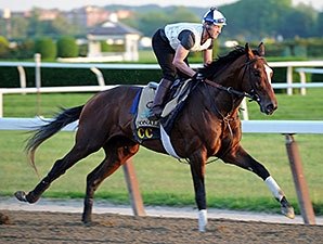Belmont: Tonalist Has Ties to Pleasant Colony - BloodHorse