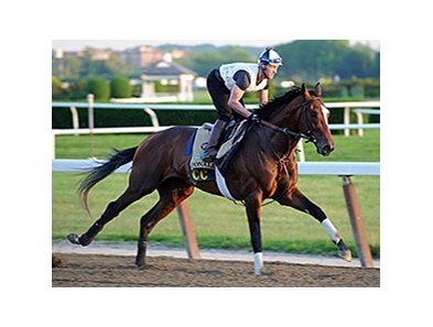 Belmont: Tonalist Has Ties to Pleasant Colony - BloodHorse