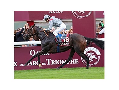 Arc Winner Treve is Cartier Horse of the Year - BloodHorse