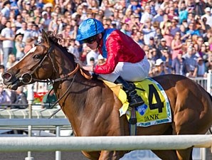 Dank (GB) - Horse Profile - BloodHorse