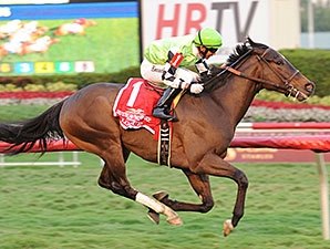 39-1 Shot Lochte Shocks Gulfstream Turf 'Cap - BloodHorse