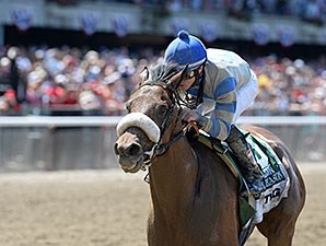 Sweet Reason - Horse Profile - BloodHorse