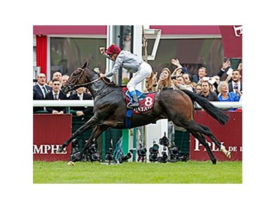 Treve Regains Brilliance to Post Arc Repeat - BloodHorse