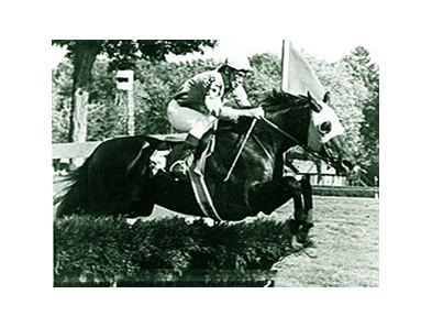 Top 'Chase Rider Aitcheson Dies at Age 85 - BloodHorse