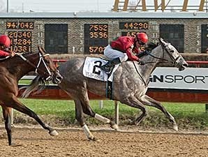 Flashy American - Horse Profile - BloodHorse