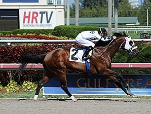 Fast Anna - Horse Profile - BloodHorse