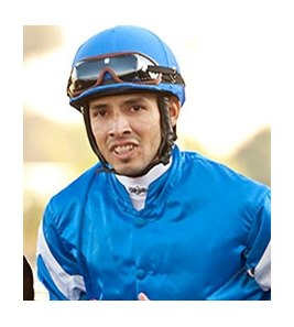 Jockey Castro Injured in Paddock Accident - BloodHorse