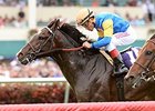 Vertiformer - Horse Profile - BloodHorse