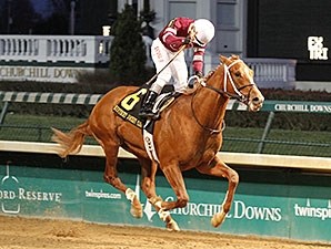 Tapiture - Horse Profile - BloodHorse