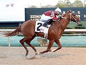 Tapiture Strides on in Southwest - BloodHorse