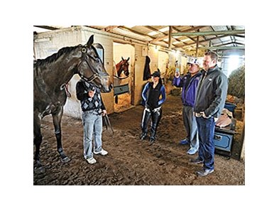 Ria Antonia's Connections Seek Respect - BloodHorse