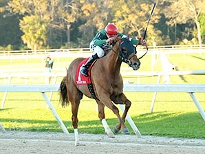 Ring Weekend - Horse Profile - BloodHorse