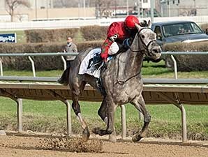 Flashy American - Horse Profile - BloodHorse