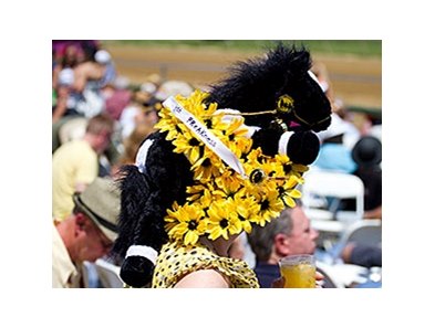 The Preakness Party: It's for Winners - BloodHorse