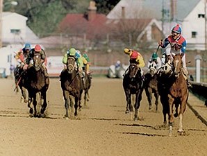 Arazi Breeder Wilson Dead at 95 - BloodHorse