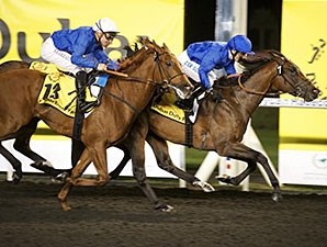 Emirates Flyer (GB) - Horse Profile - BloodHorse