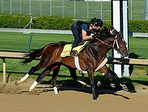Commanding Curve, 21st on Points List, Works - BloodHorse
