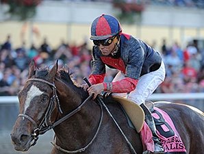 Classic Winner Tonalist Towers Over Suburban - BloodHorse