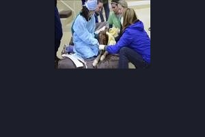 Catching Up With Southern Phantom - Slideshow - BloodHorse