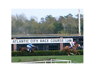 Atlantic City to Celebrate 65th Birthday - BloodHorse