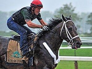 Ride On Curlin Keeps Running and Running - BloodHorse