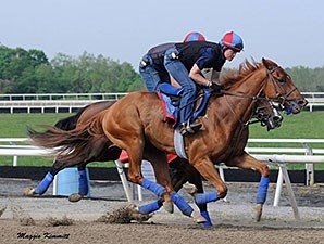 Ring Weekend - Horse Profile - BloodHorse