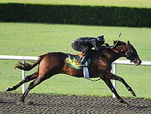 Macho Uno Filly Blazes at OBS June Preview - BloodHorse