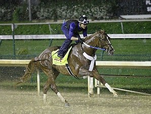 Tapiture - Horse Profile - BloodHorse