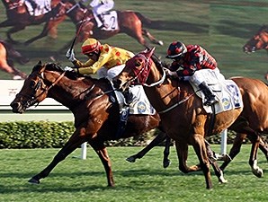 Akeed Mofeed (GB) - Horse Profile - BloodHorse