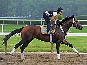 Commanding Curve - Horse Profile - BloodHorse