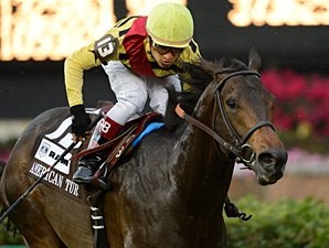 Silver Max - Horse Profile - BloodHorse