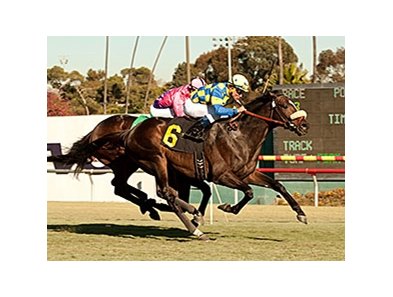 Lucayan Can Give Drysdale Sixth San Luis Rey - BloodHorse