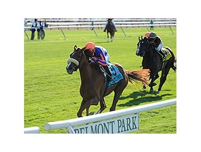 Minorette a Major Force in Lake Placid - BloodHorse