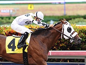 Fast Anna - Horse Profile - BloodHorse