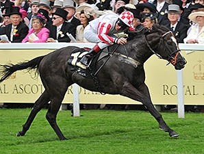 Sole Power (GB) - Horse Profile - BloodHorse