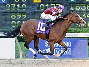 Rise Up - Horse Profile - BloodHorse