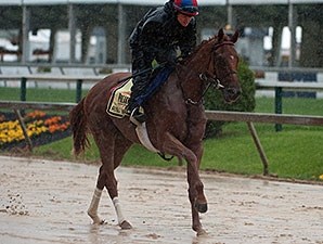 Ring Weekend - Horse Profile - BloodHorse