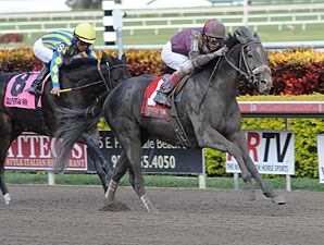 Jackson Bend - Horse Profile - BloodHorse