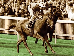 European Champ Rodrigo de Triano Dies at 25 - BloodHorse