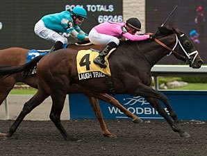 Laugh Track Earns Plaudits in Vigil Triumph - BloodHorse