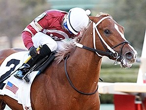 Tapiture - Horse Profile - BloodHorse