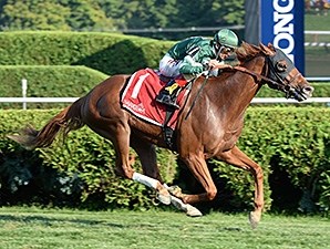 Ring Weekend - Horse Profile - BloodHorse