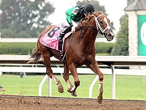 Work All Week - Horse Profile - BloodHorse