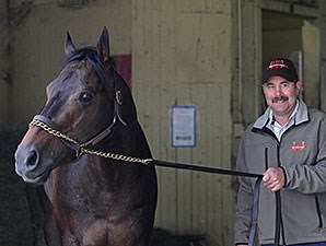 Ride On Curlin - Horse Profile - BloodHorse