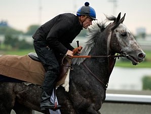 Reliable Man (GB) - Horse Profile - BloodHorse