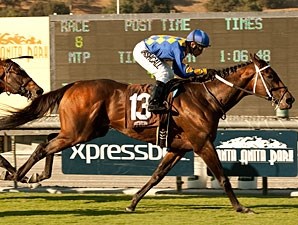 Unbridled's Note - Horse Profile - BloodHorse