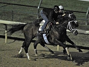 Quality Road - Horse Profile - BloodHorse